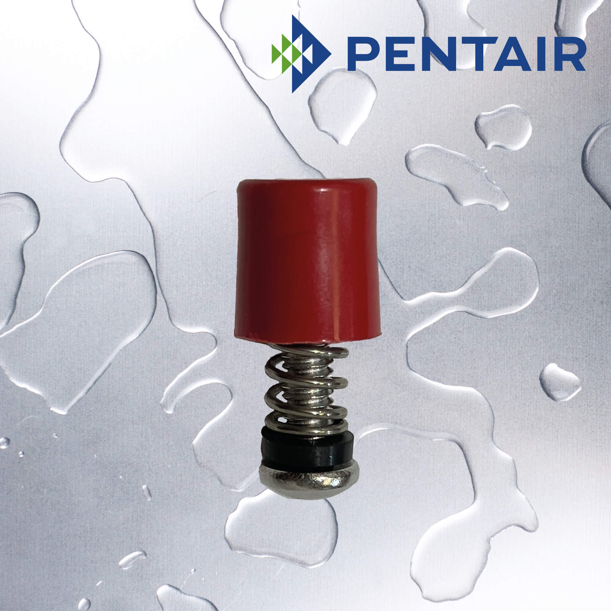 PRBUTTON : PENTAIR Pressure Release Button Kit